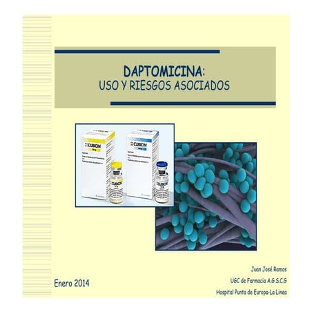 Daptomicina uso y riesgos asociados | PDF
