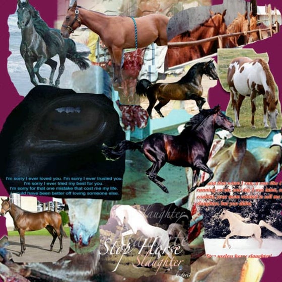 Hamlet Collage | PDF | Death, Injury, or Military Conflict | Sensitive ...