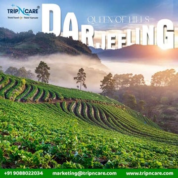 Embark on a Journey of Enchantment with Our Discover Darjeeling Group ...