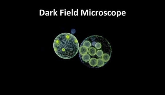 DARK FIELD MICROSCOPY | PPTX