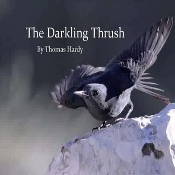 DARKLING THRUSH.pptx
