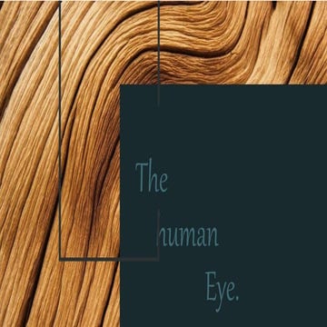 eye presentation.pptx
