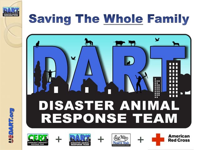 Animal Handling and Restraint | PPTX