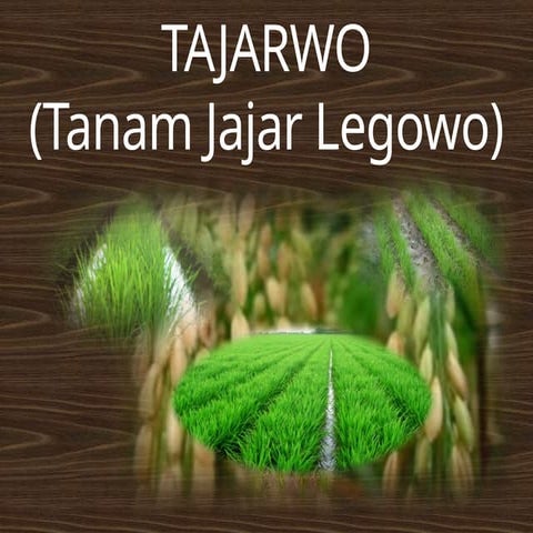 CARA PENANAMAN JAJAR LEGOWO UNTUK MENINGKATKAN PRODUKTIVITAS PADI | PPTX