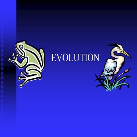 darwin-evolution-ppt.pptx