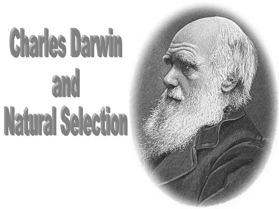 Natural selection | PDF