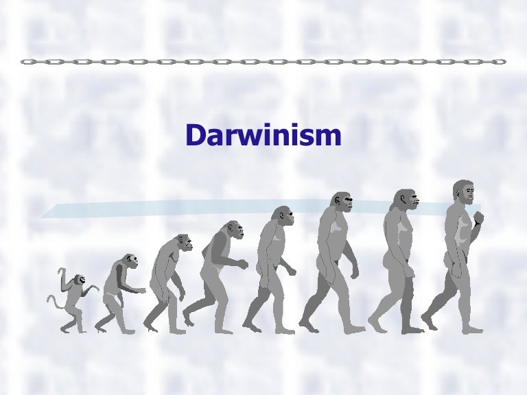 Darwinism (Feb 2009)