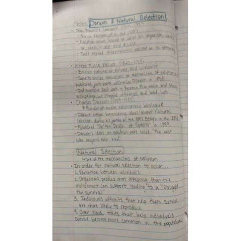 Darwin notes michaela | PPT