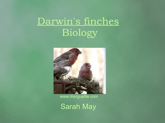 Evolution by means of natural selection lab | PDF