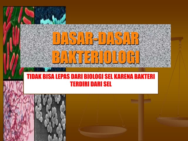 BAKTERI.ppt