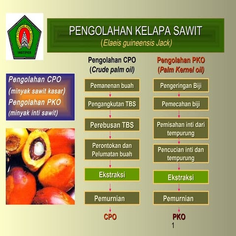 Dasar2 tphp(4) | PPT
