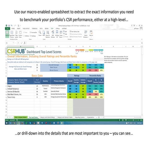 sample output from CSRHub's macro enabled spreadsheet | PDF