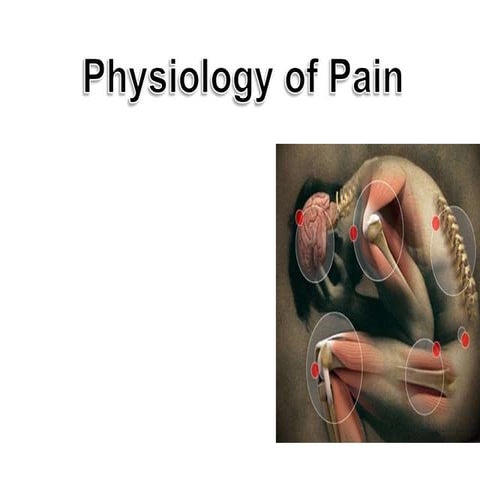Physiology of pain | PPT