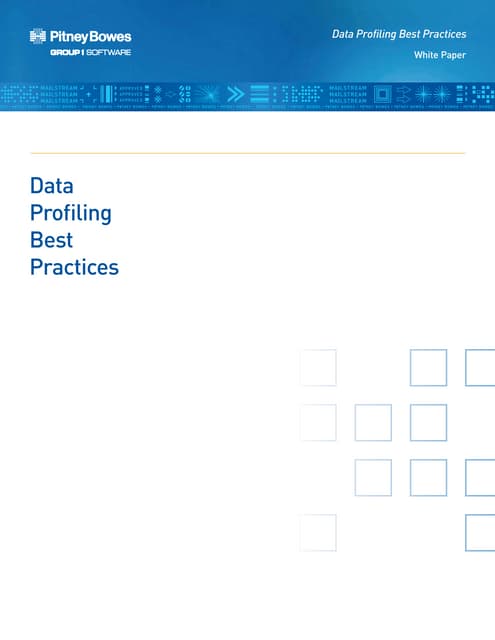 Data profiling-best-practices | PDF Data profiling-best-practices | PDF