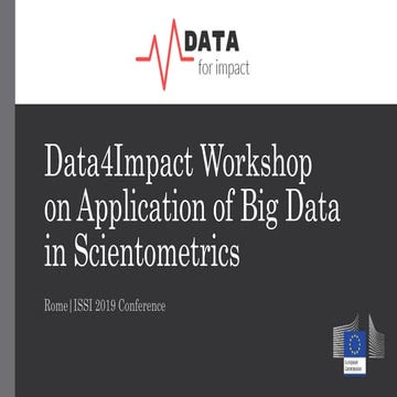 Workshop Presentation on Application of Big Data in Scientometrics | PPT