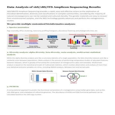 Data Analysis of 16S 18S ITS Amplicon Sequencing Results | PDF