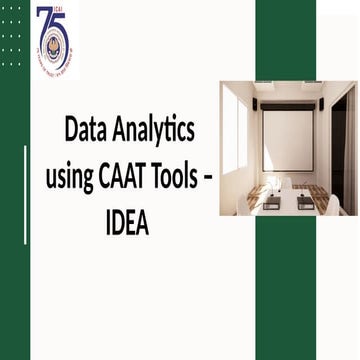 CAAT - Data Analysis and Audit Techniques | PDF