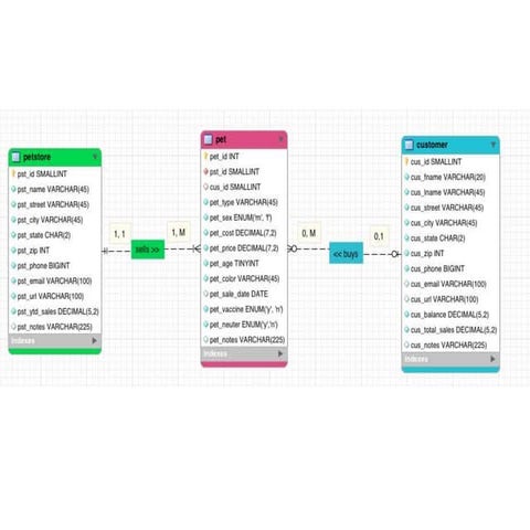 Databasepresentation | PPT