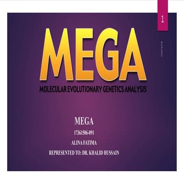 Data basis & mega | PPTX