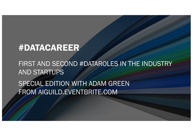 Datacaeer Ai Guild Workshop On Data Roles In Industry With Adam