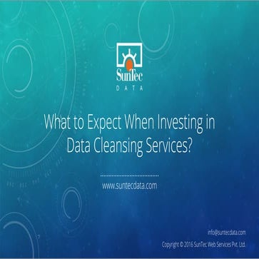 What to Expect When Investing in Data Cleansing Services? | PDF