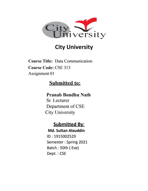 Data communication assignment 1 | PDF
