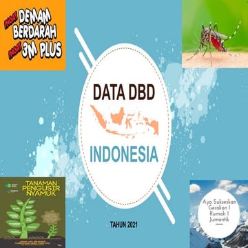 Data DBD Kemenkes 2022.pdf