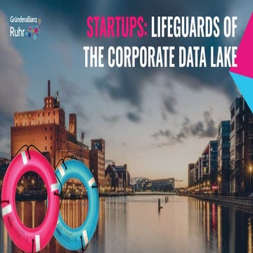 Big Data Warsaw v 4 I "Startups: Lifeguards of the Corporate Data Lake" - Felix Schröder | PDF