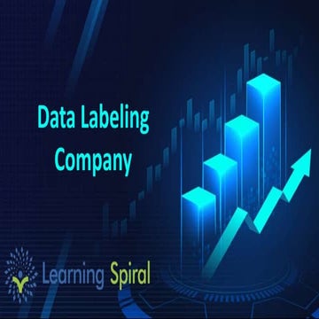 Data labeling company | Learning Spiral AI | PPT