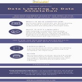 Data Labeling Vs Data Annotation.pdf