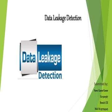 dataleakagedetection-1811210400vgjcd01.pptx