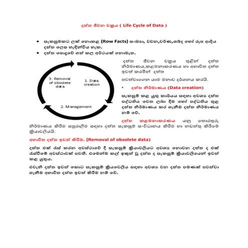 Data life cycle | PDF