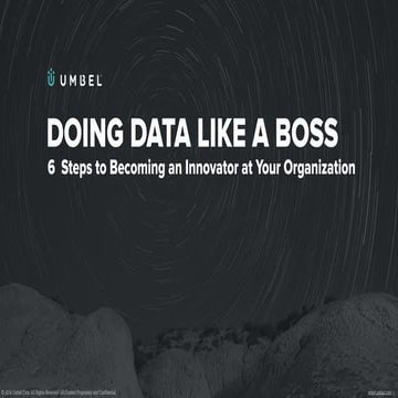 Doing Data Like a Boss | PDF