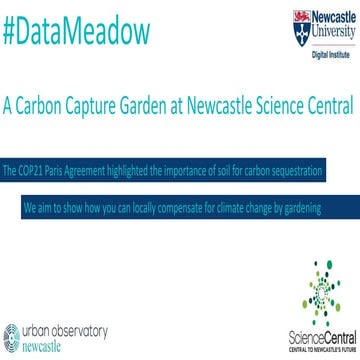 Data meadow 00 | PPT