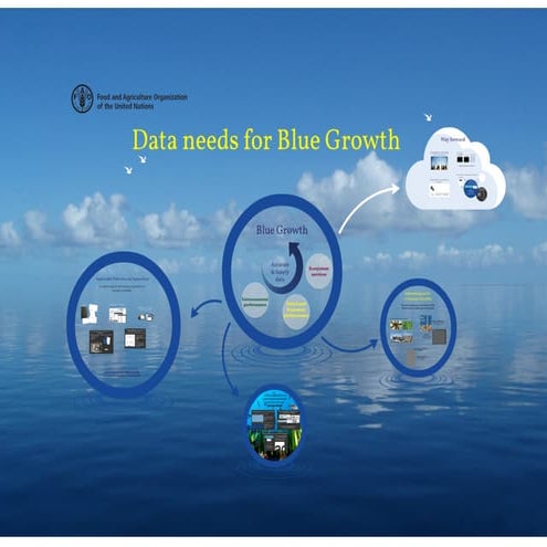 Data needs for Blue Growth | PDF
