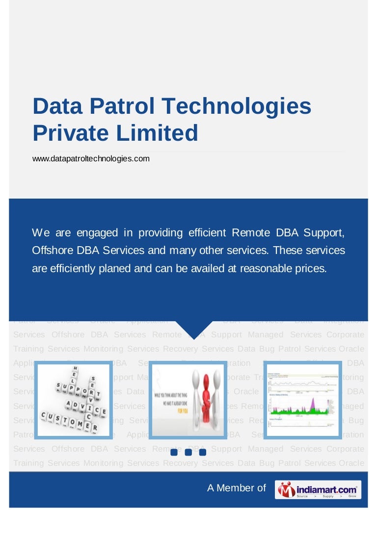 Data Patrol Technologies Private Limited, Pune, Database Services