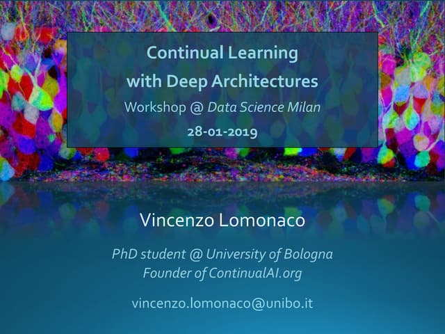 Continual/Lifelong Learning with Deep Architectures | PDF Continual/Lifelong Learning with Deep Architectures | PDF