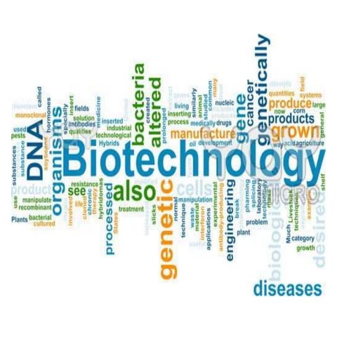 Data Sheet Biotechnology.pptx