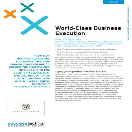 World Class Business Execution | PDF