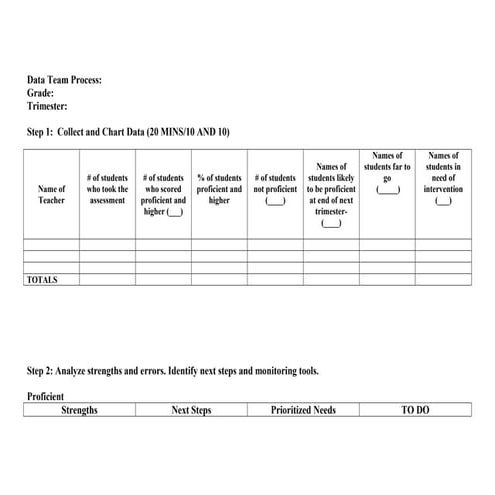 Data Team Process Blank Doc 0783