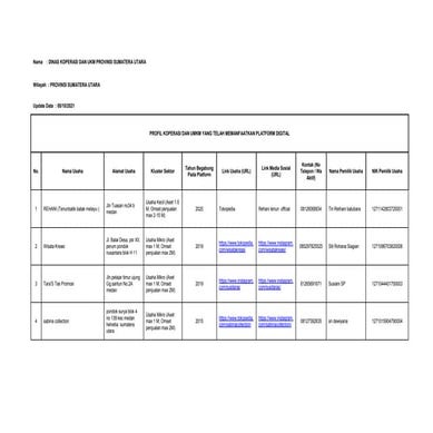 Data Data UMKM Digitalisasi Digitalisasi | PPT