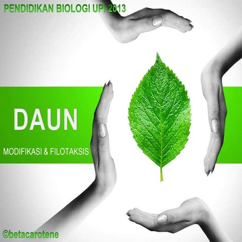 PPT Morfologi Tumbuhan - Tata Letak, Rumus, dan Diagram Daun | PPTX