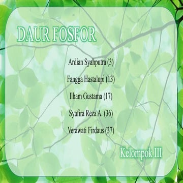 Daur fosfor | PPTX