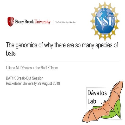 The genomics of why there are so many species of bats | PDF