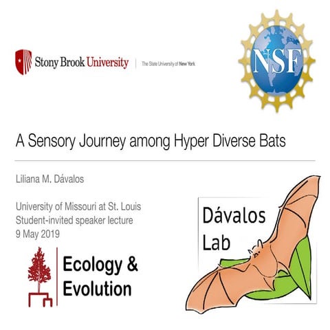 A Sensory Journey among Hyper Diverse Bats v.2 | PPT