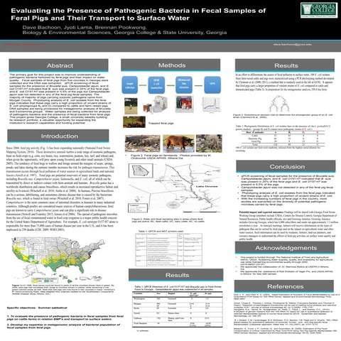 Evaluating the Presence of Pathogenic Bacteria in Fecal Sample of Feral ...