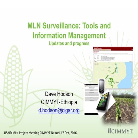 MLN surveillance: Tools and information management | PDF