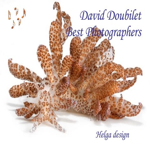 David Doubilet | PPS