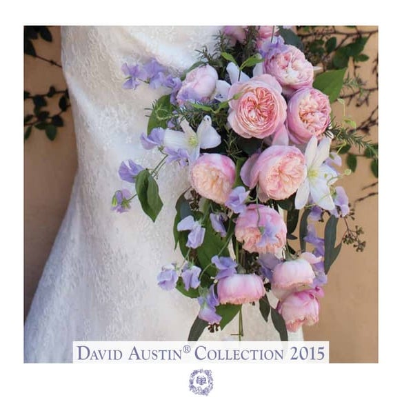 David Austin cut rose collection 2015 | PDF
