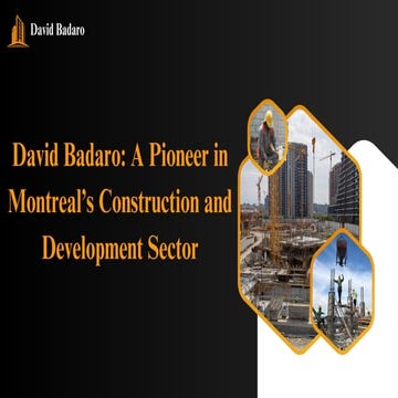 Delivering Results with Precision: The Badaro Construction Approach! | PDF
